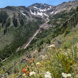 Falls Creek Trail to Legore Mine, Oregon - 77 Reviews, Map | AllTrails