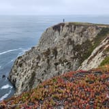 Bodega Head Trail, California - 2,053 Reviews, Map | AllTrails