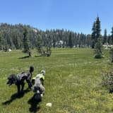 Dinkey Lakes Trail, California - 363 Reviews, Map | AllTrails