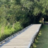 Guana Trail, Marshview Lane, and Shellbluff Road, Florida - 268 Reviews ...