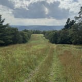 Miller Mountain Trail Loop, Pennsylvania - 243 Reviews, Map | AllTrails