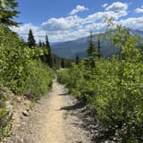 Spruce Creek Loop, Colorado - 1,876 Reviews, Map | AllTrails