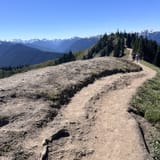 Sunrise View Point via High Ridge Nature Trail, Washington - 984 ...