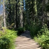 Emerald Lake Loop, British Columbia, Canada - 2,941 Reviews, Map ...