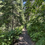 Emerald Lake Loop, British Columbia, Canada - 2,941 Reviews, Map ...