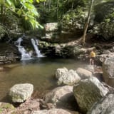 Gee Creek Falls Trail, Tennessee - 800 Reviews, Map | AllTrails