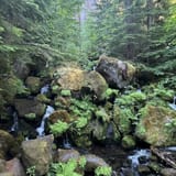 Watson Falls, Oregon - 1,271 Reviews, Map | AllTrails