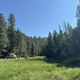 Cabin Loop Trail, Arizona - 244 Reviews, Map | AllTrails