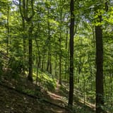 Winding Stairs Loop, Tennessee - 795 Reviews, Map | AllTrails