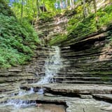 Winding Stairs Loop, Tennessee - 795 Reviews, Map | AllTrails