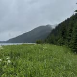 Tonsina Creek Trail, Alaska - 1,657 Reviews, Map | AllTrails