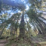 Deception Falls Interpretive Trail, Washington - 672 Reviews, Map ...