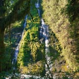 Boulder River Trail, Washington - 1,924 Reviews, Map | AllTrails