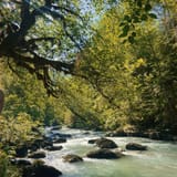 Boulder River Trail, Washington - 1,924 Reviews, Map | AllTrails