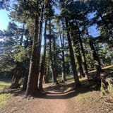 Sun Notch Trail, Oregon - 960 Reviews, Map | AllTrails