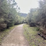 Mount Lofty Loop, Victoria, Australia - 1,387 Reviews, Map | AllTrails