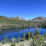 Bear Lakes and Round Lake Loop, California - 1,007 Reviews, Map | AllTrails