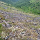 Kesugi Ridge (Curry Ridge) Trail, Alaska - 223 Reviews, Map | AllTrails