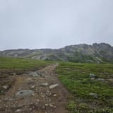 Kesugi Ridge (Curry Ridge) Trail, Alaska - 223 Reviews, Map | AllTrails