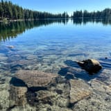 McLeod Lake Trail, California - 1,108 Reviews, Map | AllTrails