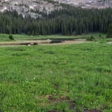 Turquoise Lakes Trail, Colorado - 296 Reviews, Map | AllTrails