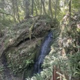 Chuckanut Falls, Washington - 635 Reviews, Map | AllTrails