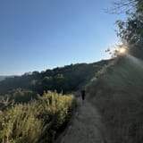 Dusky-Footed Woodrat and Cordilleras Trails, California - 3,147 Reviews ...