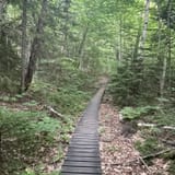 Goodnow Mountain Trail, New York - 1,382 Reviews, Map | AllTrails