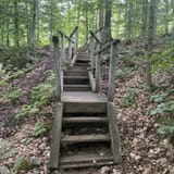 Goodnow Mountain Trail, New York - 1,368 Reviews, Map | AllTrails