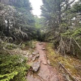 Goodnow Mountain Trail, New York - 1,382 Reviews, Map | AllTrails