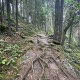Goodnow Mountain Trail, New York - 1,382 Reviews, Map | AllTrails