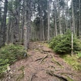 Goodnow Mountain Trail, New York - 1,382 Reviews, Map | AllTrails