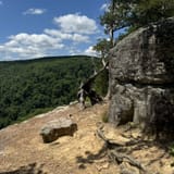 Whitaker Point Trail (Hawksbill Crag), Arkansas - 3,938 Reviews, Map ...