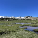 Native Lake Trail, Colorado - 263 Reviews, Map | AllTrails