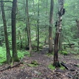 Tully Mountain Loop Trail, Massachusetts - 432 Reviews, Map | AllTrails