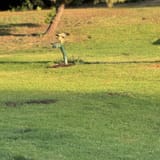 Puddingstone Reservoir Lake View and Park Trail Loop, California - 610 ...