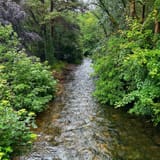 Nether Wasdale and Wastwater, Cumbria, England - 284 Reviews, Map ...