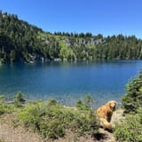 Summit Lake Trail, Washington - 2,935 Reviews, Map | AllTrails