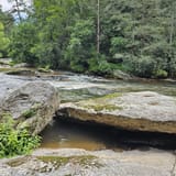 Cartecay River Loop Trail, Georgia - 2,176 Reviews, Map | AllTrails