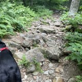 Haystack Mountain Trail, Vermont - 2,096 Reviews, Map | AllTrails