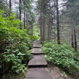 Tonsina Creek Trail, Alaska - 1,657 Reviews, Map | AllTrails