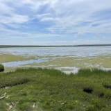 Nauset Marsh and Nauset Bike Trail , Massachusetts - 909 Reviews, Map ...