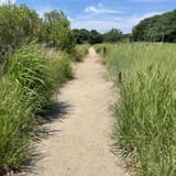 Nauset Marsh and Nauset Bike Trail , Massachusetts - 987 Reviews, Map ...