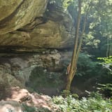 Hemlock Cliffs National Scenic Trail, Indiana - 1,381 Reviews, Map ...