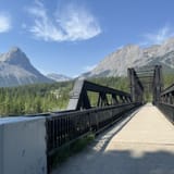 Bow River Loop, Alberta, Canada - 1,750 Reviews, Map | AllTrails