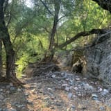 Picketpost Loop via Arizona Trail and L.O.S.T Trail, Arizona - 1,538 ...