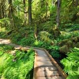 Santiam Wagon Road to House Rock, Oregon - 472 Reviews, Map | AllTrails