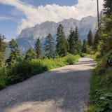 Eibsee Loop, Bavaria, Germany - 1,195 Reviews, Map | AllTrails