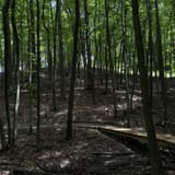 Lookout Ridge Loop and Skyline Overlook, Ohio - 709 Reviews, Map ...