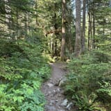 Barclay Lake Trail, Washington - 2,152 Reviews, Map | AllTrails